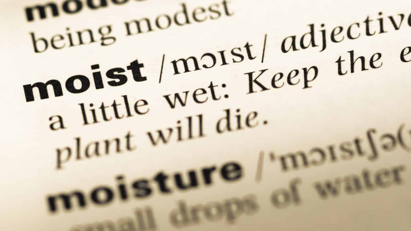 I’m The Word “Moist” and I’m Tired of Everyone Always Cringing Around ...