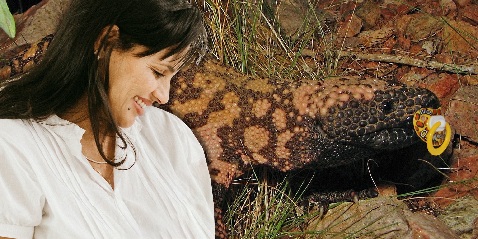 My Child Is Perfect, Even Though He’s a Venomous Gila Monster | Points ...