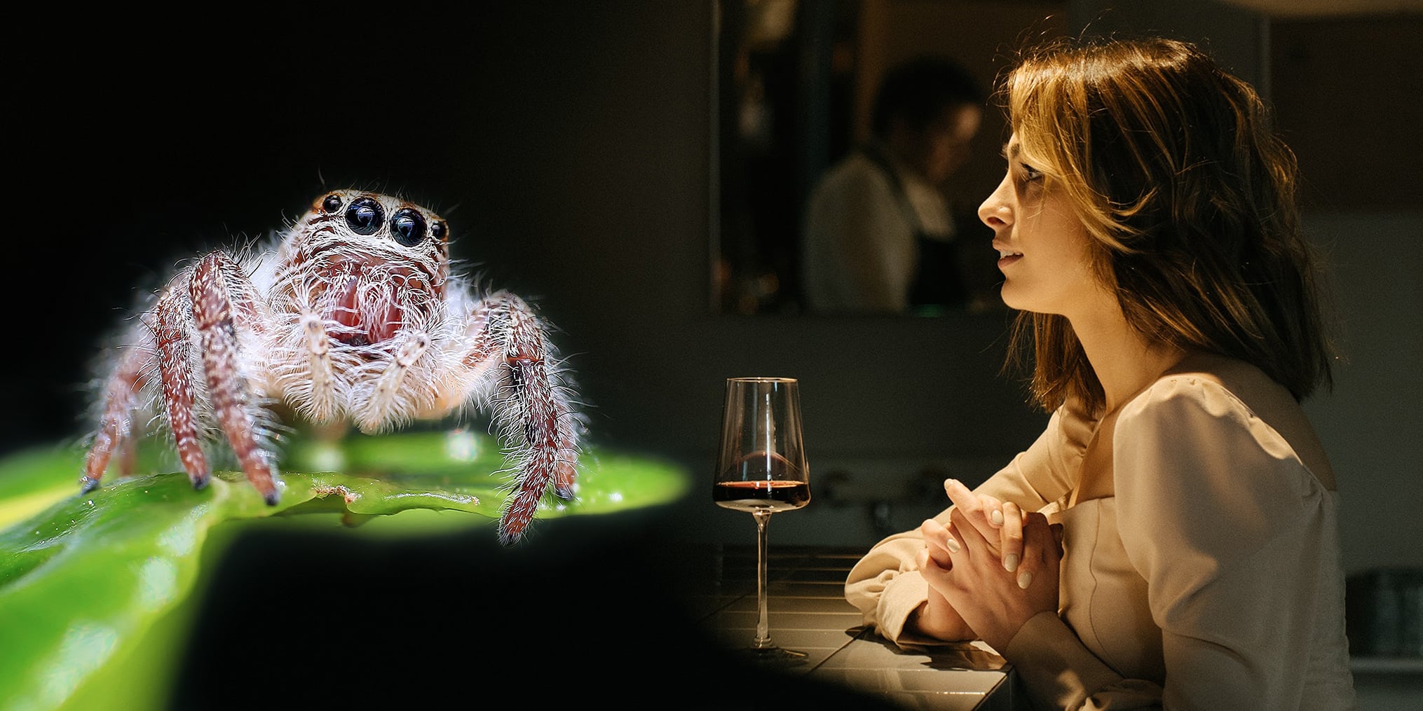 The Moments When I Realized My Dates Were a Bunch of Spiders in a ...