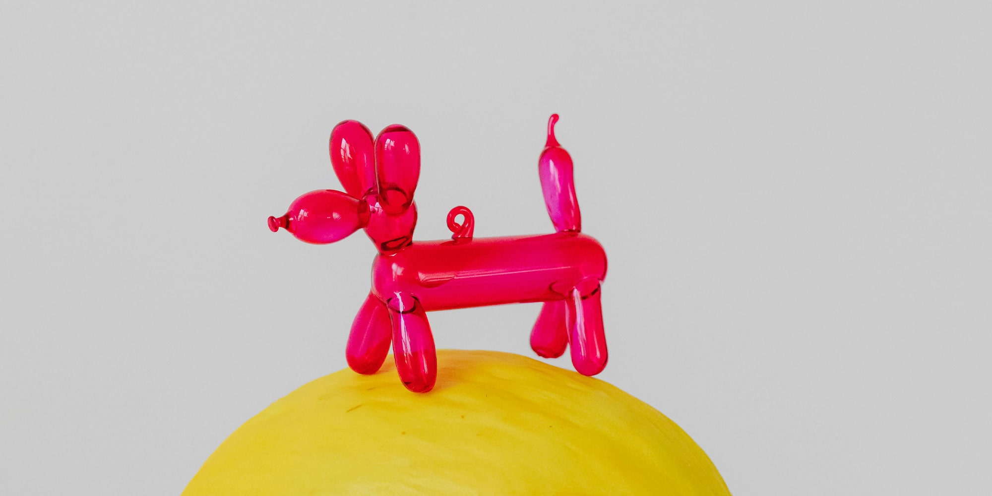 Myths and Facts About Balloon Animals | Points in Case