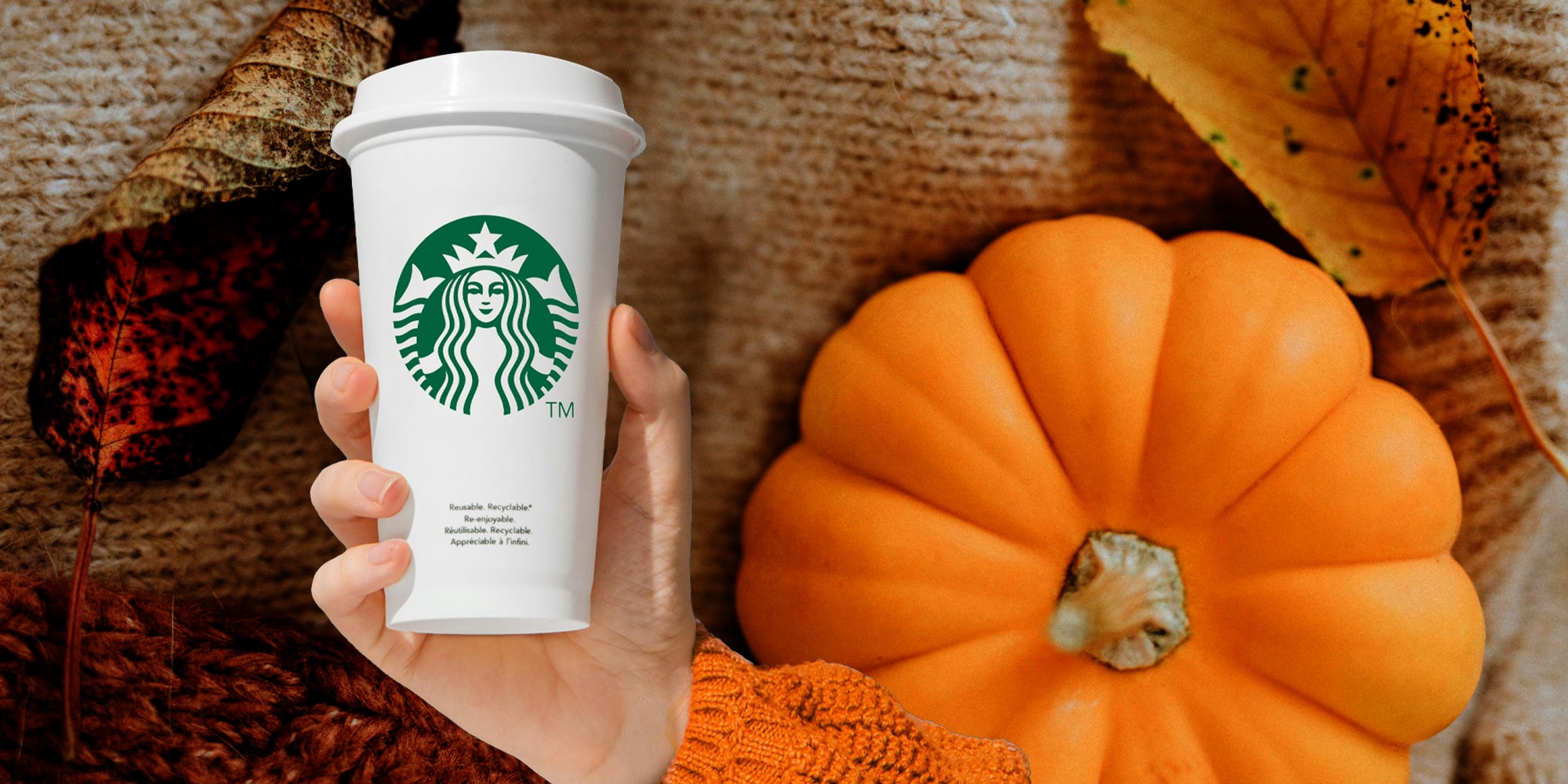 An Oral History of the Definitive Origins of Pumpkin Spice | Points in Case